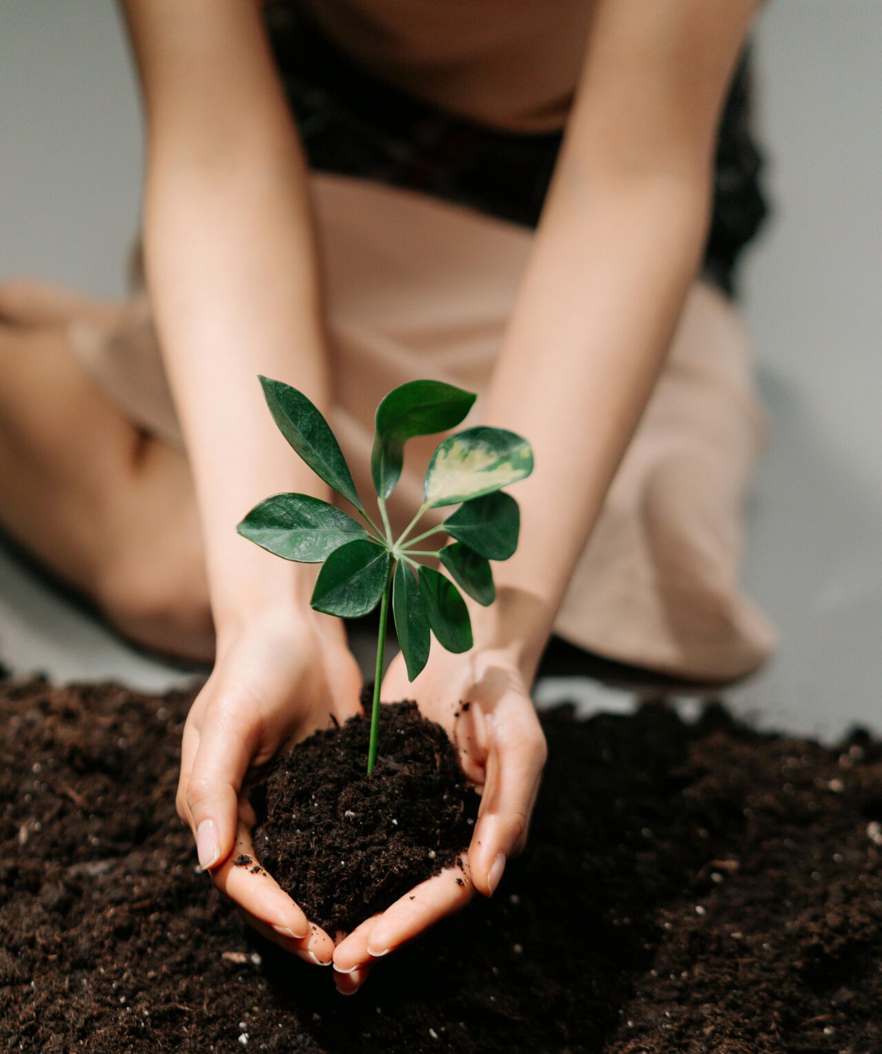 About PIP Healthcare | PIP Healthcare